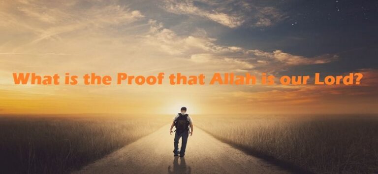 What is the Proof that Allah is our Lord? – Children of the Ummah
